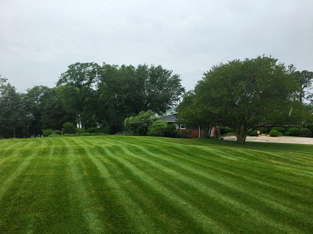 Michael's Lawn & Landscape, LLC of South Carolina | A Lawncare and ...